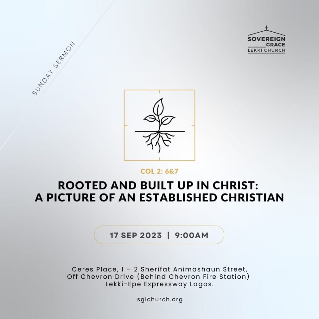 Rooted and Built Up in Christ - A picture of an established christian ...